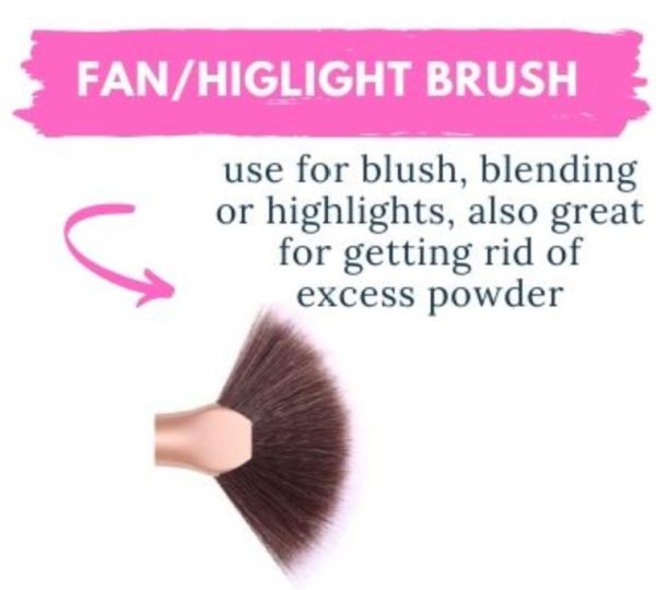 12 Types Of Makeup Brushes And Their Uses